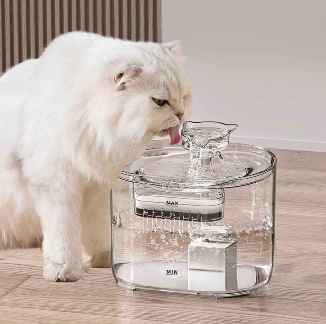 Dog Bowl and Watering (incl. Food Mat) – PawPawUp