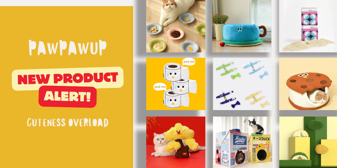 Pet Store for Quality Pet Food & Supplies in Australia - PawPawUp