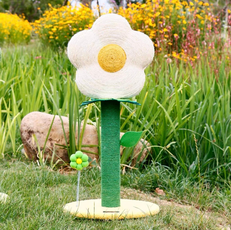 Pet Store for Quality Pet Food & Supplies in Australia - PawPawUp